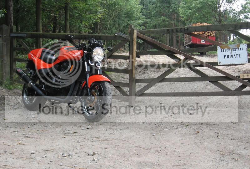 T3 Pics | Triumph Rat Motorcycle Forums