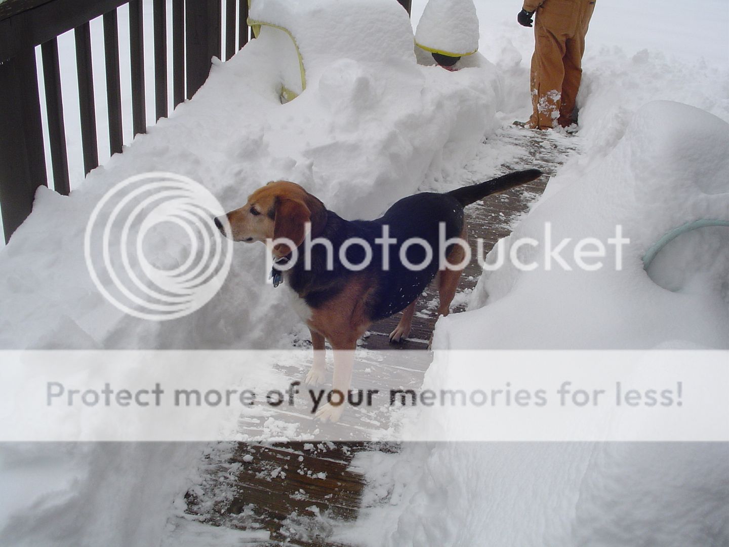 let it snow, let it snow, let it snow - The 1947 - Present Chevrolet ...