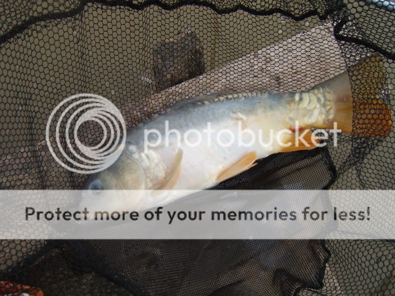 mescar fishery,maghull - The Fishermans Net