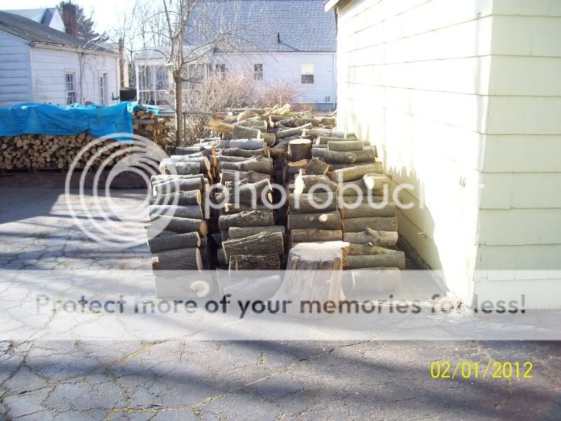 Stacking VS Piling | Arborist, Chainsaw & Tree Work Forum