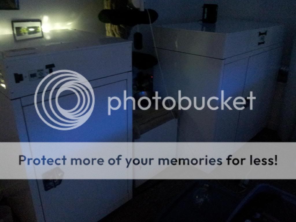 3 Box HYDRO ScrOG setup. Weeks of photos. Come TEACH and LEARN ...